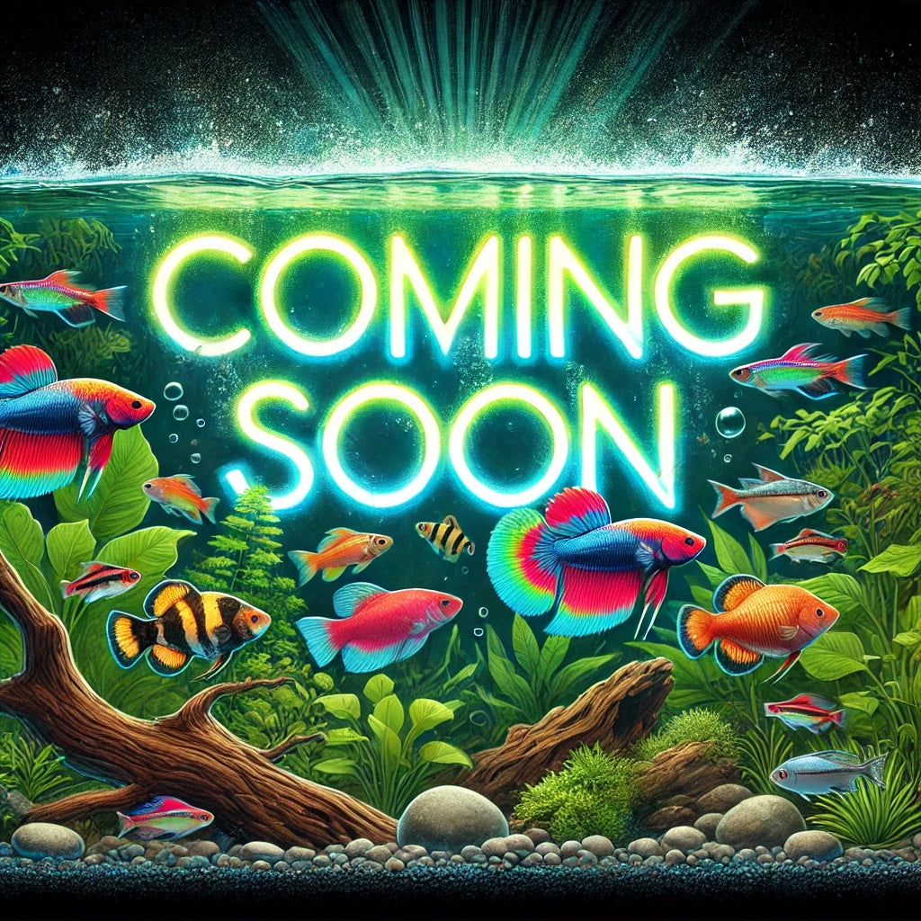 Live Animals and Bugs! – The CS Brand